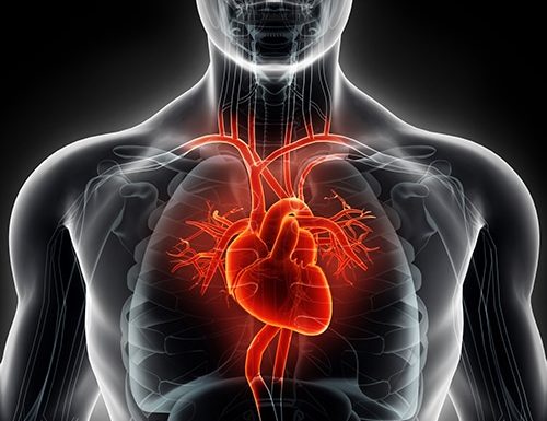 Clinical Accelerator announces collaboration with Reprieve ...